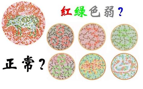 明星自曝 色弱”关于色弱和色盲你了解多少？ 知乎