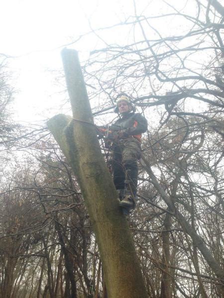 Health And Safety Tree Removal Members Albums Arbtalk The Social Network For Arborists