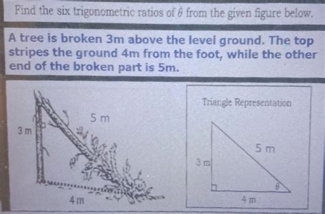 Solved Find The Six Trigonometric Ratios Of θ From The Given Figure Below A Tree Is Broken 3m