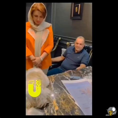 صاحب یک سگ خونه 5 میلیاردیش را به نام آقای چسترسگش کرد فیلو
