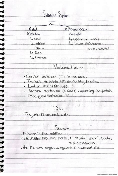 Solution Introduction To Anatomy Skeletal System Classification