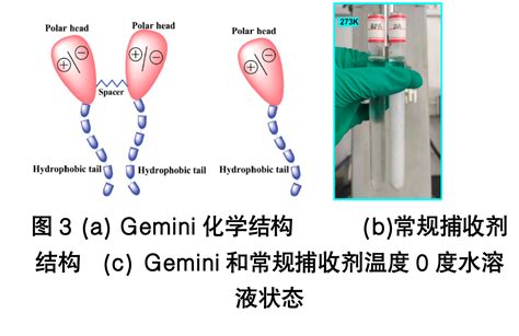 战略性矿产资源高效浮选捕收剂创新研究 江西理工大学科学技术处