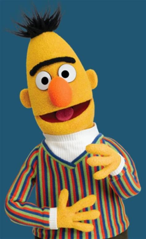 Unibrow Bert