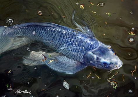 Blue Koi Digital Painting By Rosane Chawi On Deviantart Blue Koi Koi