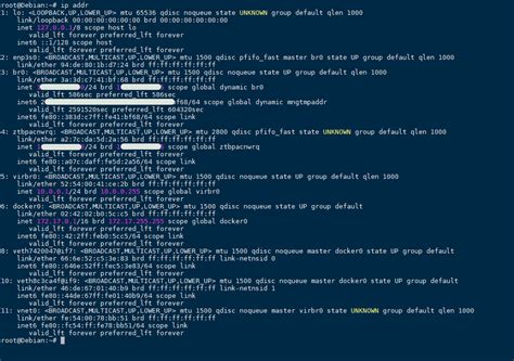 正确给 debian 设置网络桥接 夏日冰菓