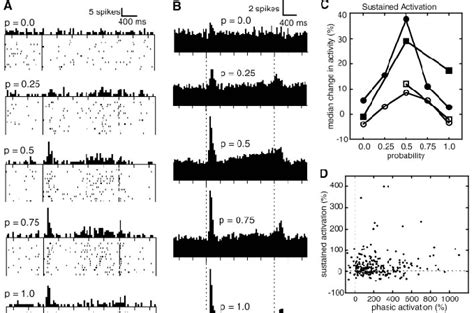Sustained Activation Of Dopamine Neurons Precedes Uncertain Rewards Download Scientific