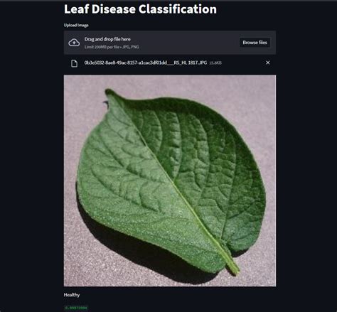 Github Dhaniketleaf Disease Classification Dhaniket Leaf