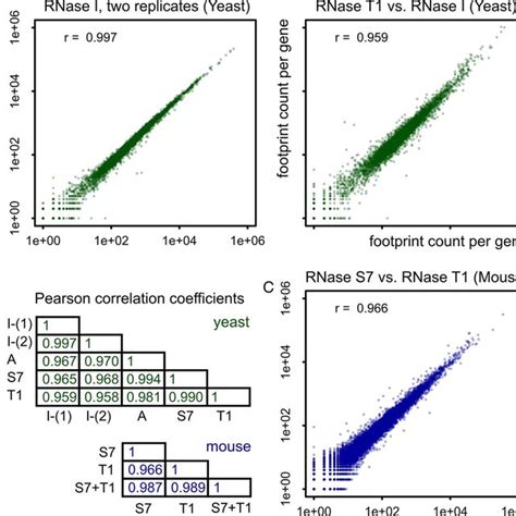 Estimation Of Gene Expression Produces Similar Results For All Download Scientific Diagram