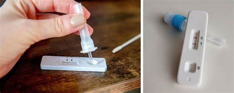 Essential Materials For Lateral Flow Assay Assembly Antiteck