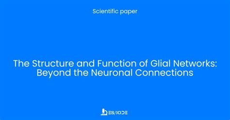 Es Iode On Linkedin Scientific Research The Structure And Function Of Glial Networks Beyond…