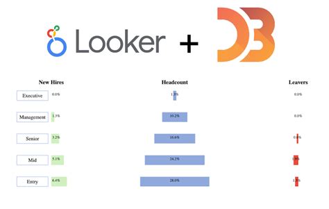 Creating Custom Visualisation On Looker Using D3js By Darren Chew