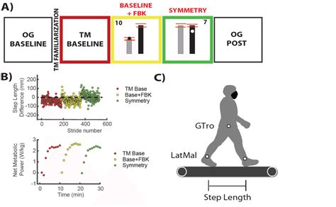 Experimental Protocol And Experimental Setup A Experimental Protocol Download Scientific