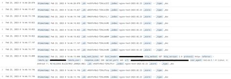 Nginx Access Log Multiple Empty Documents Saved In Indice Only