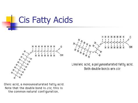 Cis Unsaturated Fatty Acids At Jim Reeves Blog