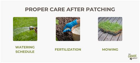 How To Fix Patchy Grass A Step By Step Lawn Repair Guide How To Fix Patchy Grass A Step By Step Lawn Repair Guide
