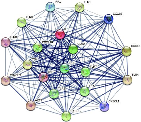 Hub Differentially Expressed Gene Interaction Network Download Scientific Diagram