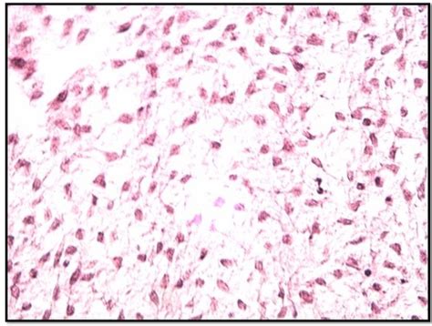 Aandp Chapter Two Flashcards Quizlet