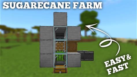 Minecraft Sugarecane Farm Bedrock Java Edison YouTube