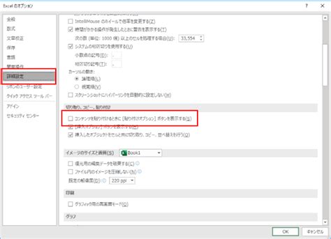 エクセルの貼り付けオプションが邪魔｜非表示に設定する パソコンlabo