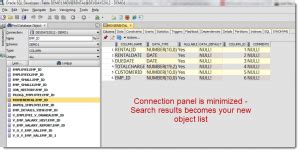 Search And Browse Database Objects With Oracle SQL Developer