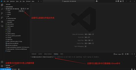 Vscode对ubuntu用root账号进行ssh远程连接开发vscode 如何ssh Ubuntu开发 Csdn博客