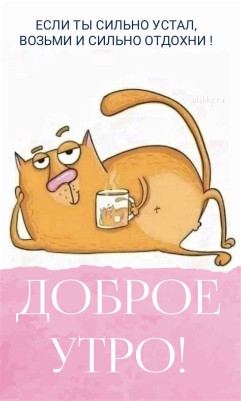 С добрым утром позитивные новые картинки 38 ФОТО Доброе утро