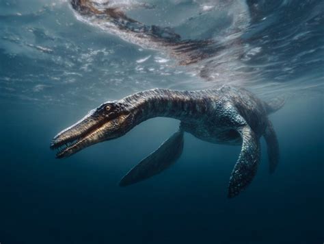 Plesiosaurus The Mysterious Marine Reptile Behind The Loch Ness