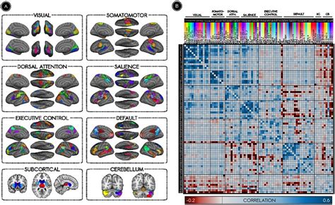 Canonical Functional Networks Of The Time Averaged Connectome A Download Scientific Diagram