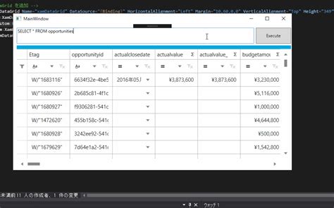 Xamdatagrid Scrollbar