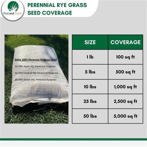 Perennial Rye Grass Seed Premier Equipment For Every Gardener
