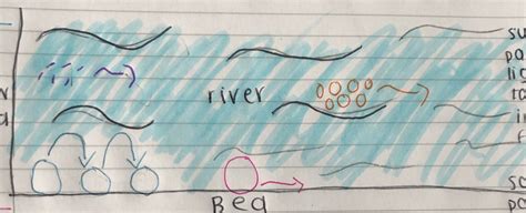 Diagram Of Transportation Quizlet