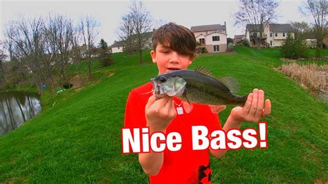 Catching Nice Bass Youtube