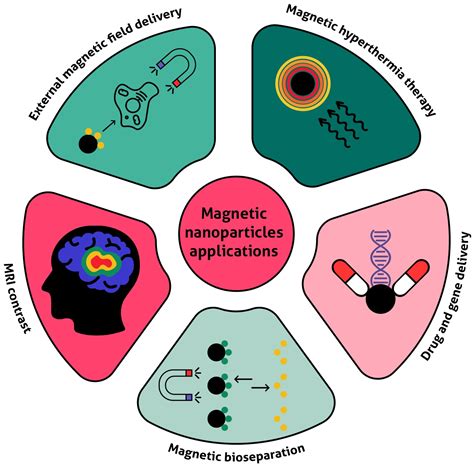 Encyclopedia Free Full Text Magnetite Nanoparticles For Biomedical