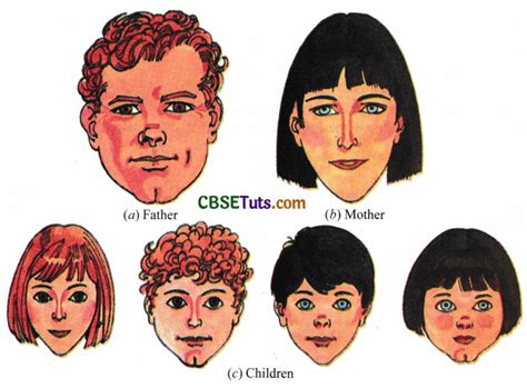 Acquired And Inherited Traits Laws Of Inheritance Cbse Tuts
