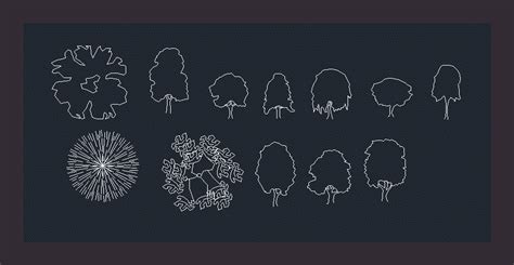 Trees In Elevation DWG Elevation For AutoCAD Designs CAD