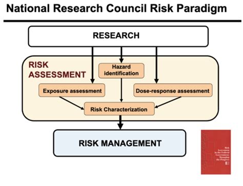 LECTURE RISK ASSESSMENT Flashcards Quizlet