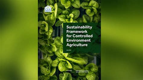 Cea Alliance Releases Sustainability Framework For Indoor Growers Produce Grower