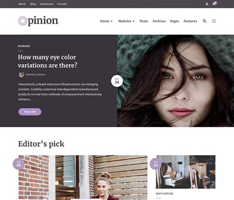 Vlog Wordpress Theme Live Preview Meks