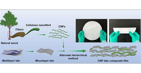 Cellulose Nanofibriltalc Composite Films With Excellent Barrier