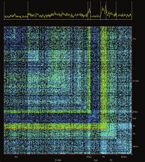 A Neuron To Neuron Connectivity Matrix For A Female Drosophila Brain Download Scientific