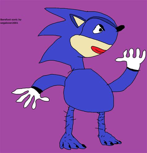 Barefoot Sonic By Segalover By Segalover On Deviantart