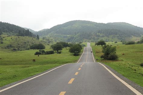 Expend Expand Extend 차이