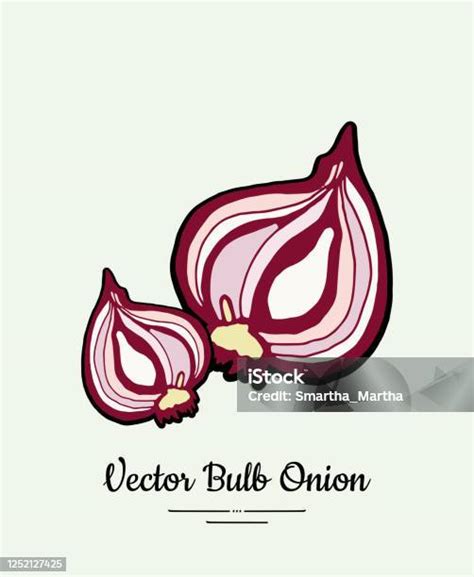 잘라 전구 빨간 양파 손 그린 벡터 일러스트레이션 모던 라인 잉크 야채 양파 반분리 로고 아이콘 배너 개체 그룹에 대한 스톡
