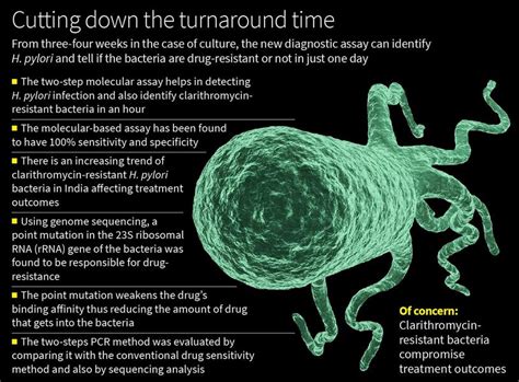 H Pylori Detection And Drug Resistance Identification