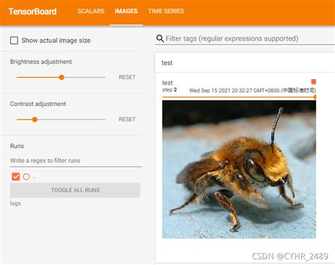 Tenserboard之addscalar和addimage使用方法tensorboard Add Image Csdn博客