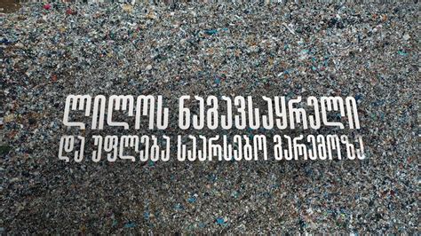 ლილოს ნაგავსაყრელი და უფლება საარსებო გარემოზე Youtube