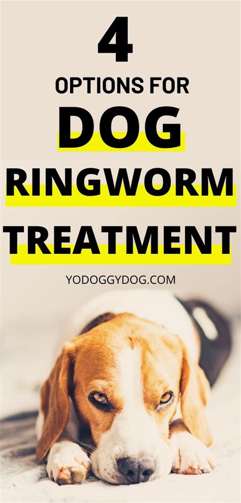 How Does A Dog Get Ringworm At Ella Hogarth Blog