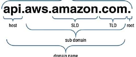 Understanding Dns The Phonebook Of Internet Dev Community