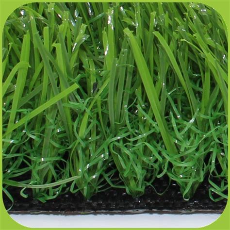 Chinese Grass