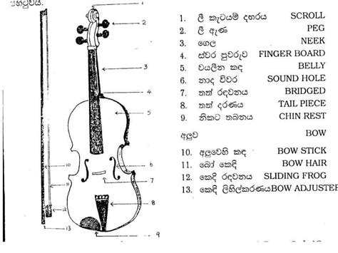 සංගීත භාණ්ඩ කිහිපයක කොටස් රාග් නාද් Music Academy